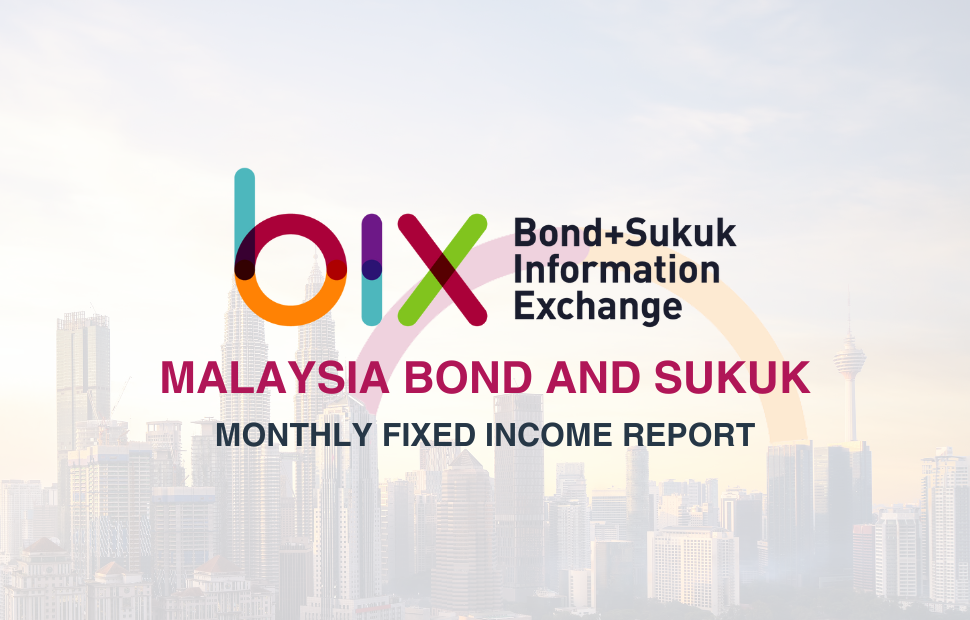 Monthly Fixed Income Report: November 2024 | BIX